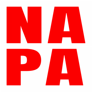 Global Chinese New Year Photography Competition 2023 – napa